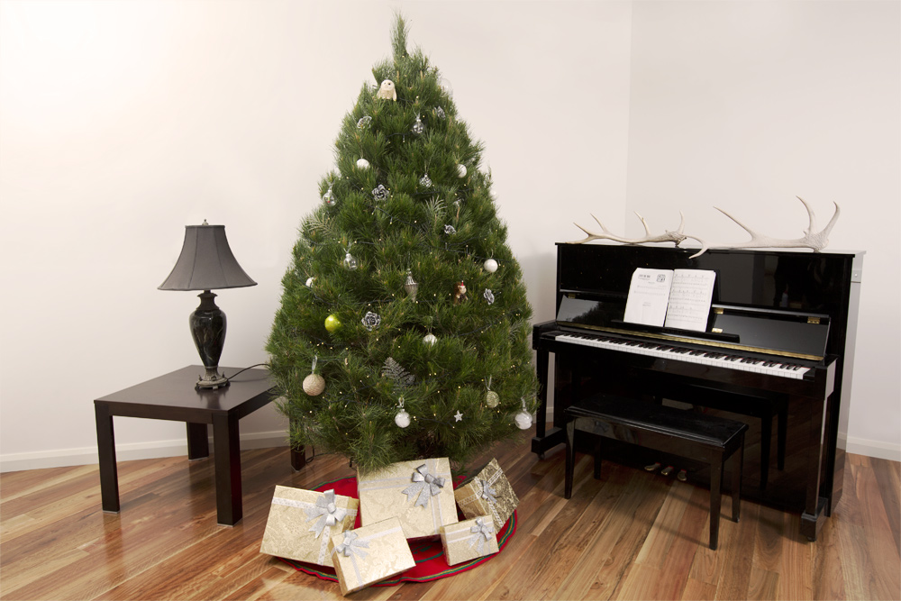 Christmas Tree Truck - bringing Christmas to your door | HerCanberra