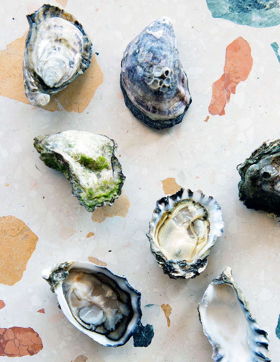 Oyster Appreciation: Some Pearls of Wisdom | HerCanberra