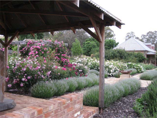 A beautiful open garden for a worthy cause | HerCanberra