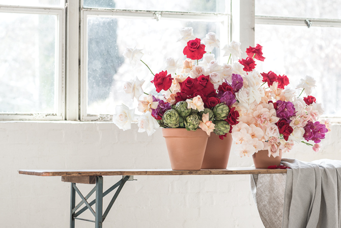 Florals 101 | HerCanberra