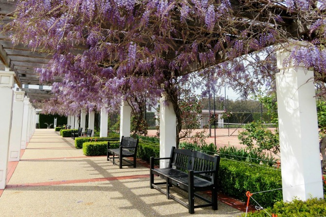 Five hidden Canberra gems that even you might have missed | HerCanberra