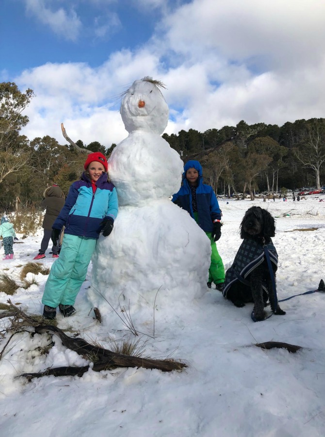 Snow Dogs is coming back to Corin Forest this September | HerCanberra