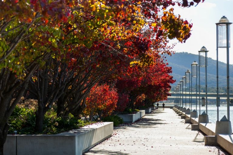 How to explore Canberra on a budget | HerCanberra