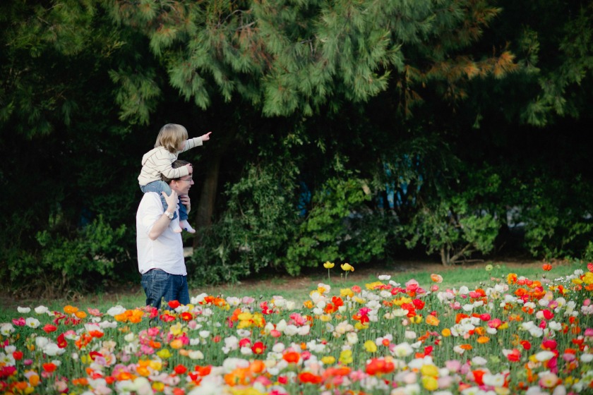 10 Free (or Cheap) Family-Friendly Things To Do in Canberra This Spring ...