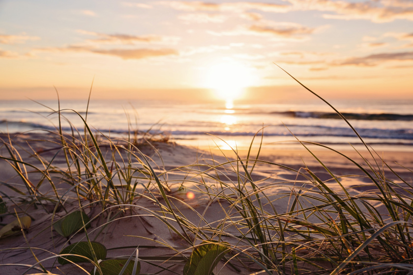 10 great South Coast beaches under three hours drive from Canberra ...