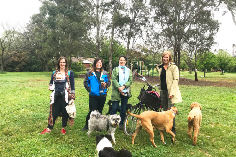 What is a Micro-Forest and why are they cropping up around Canberra ...