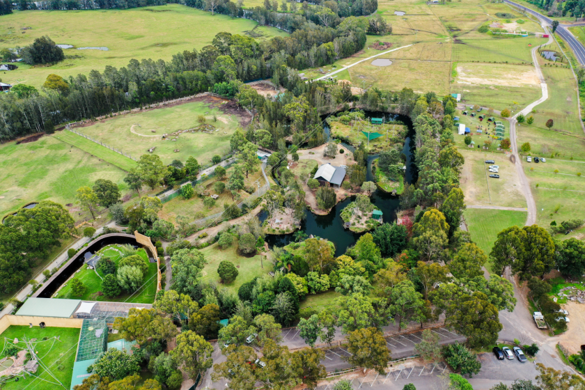 Did someone say a whole year of adorable animal encounters at Mogo ...