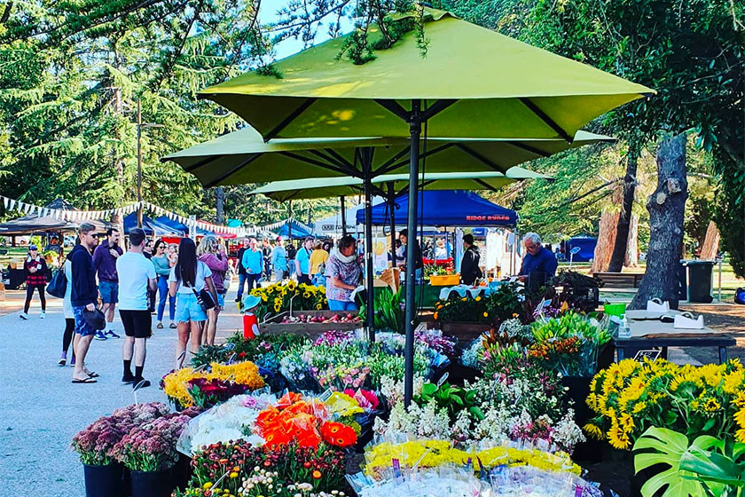 Festive fun, markets, music and more: we've found 75+ things to do this ...