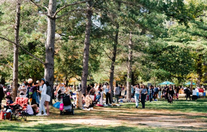Haig Park’s biggest canvas is weaving its way around the city—and you ...