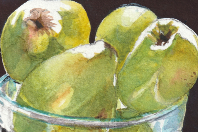 Camelia Smith's latest miniature exhibition sparks big joy | HerCanberra