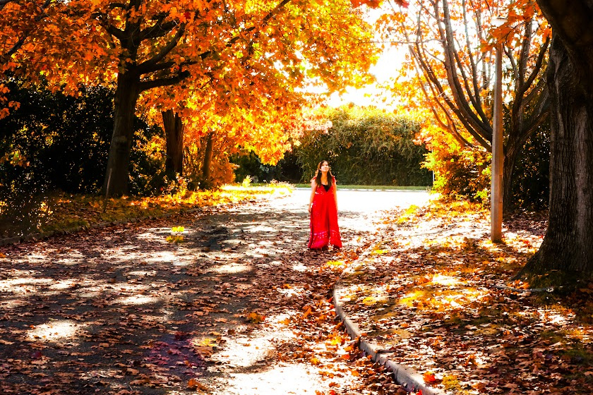 Are you seeing red? Autumn has hit Canberra early (and we couldn't be ...