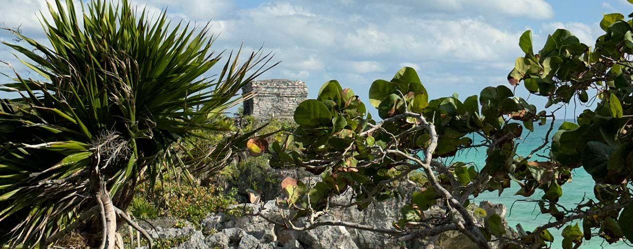 Five reasons you should spend your summer holidays in Mexico | HerCanberra