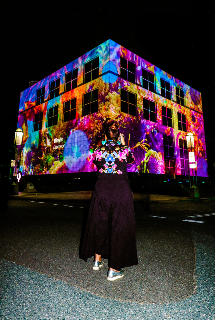 A photographer's top tips for making the most of Enlighten | HerCanberra