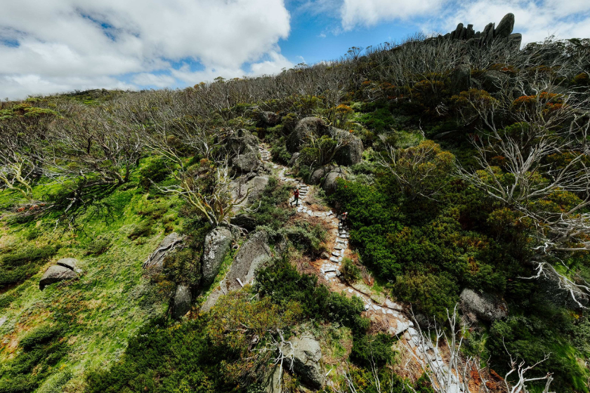 Five new(ish) walking tracks for your next spring stroll | HerCanberra