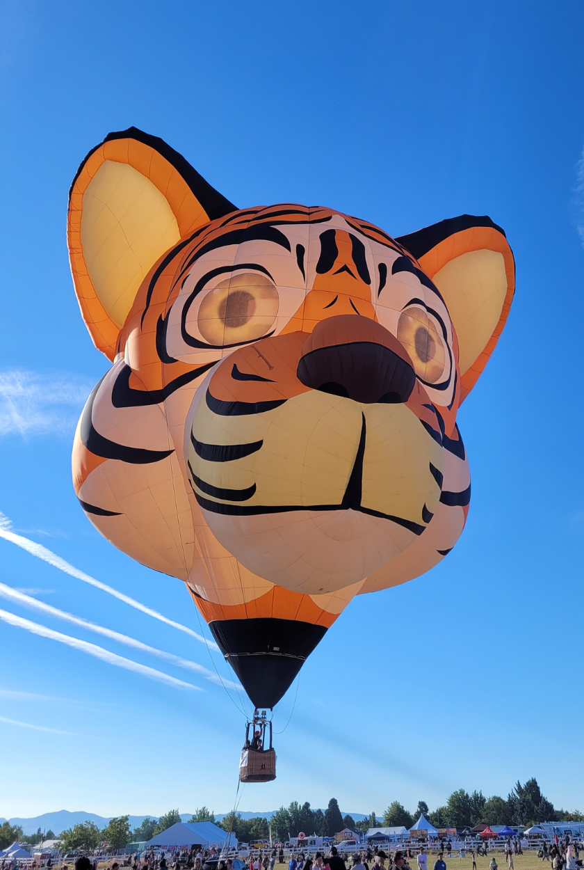 The stars of the 2025 Canberra Balloon Spectacular have been revealed ...
