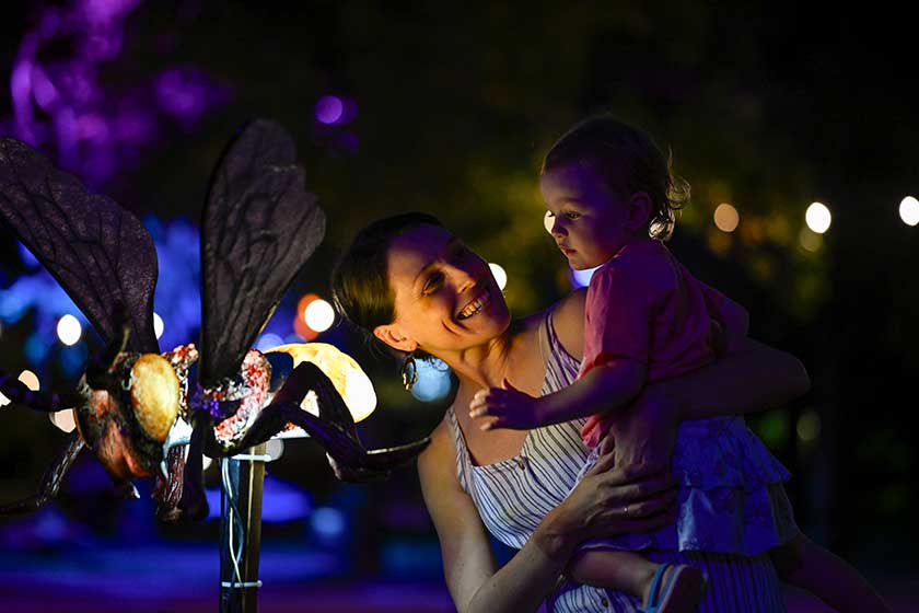 Glebe Park is being transformed into a fairytale-worthy forest this ...