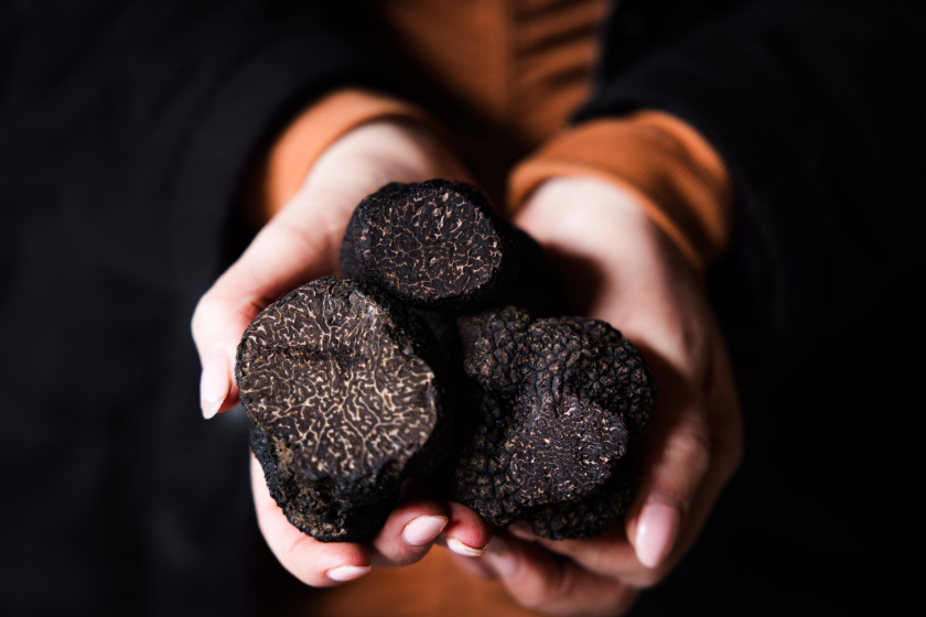 Where to get your truffle fix in Canberra this winter | HerCanberra