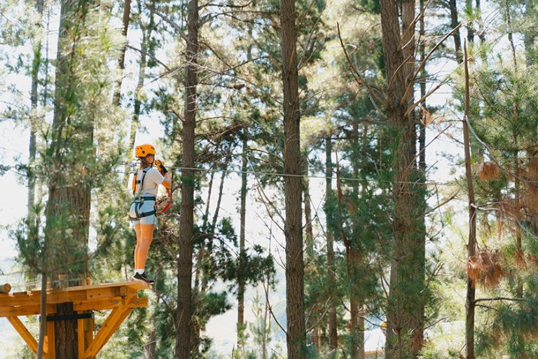Zip through the treetops: Canberra gets a zipline-only aerial course ...