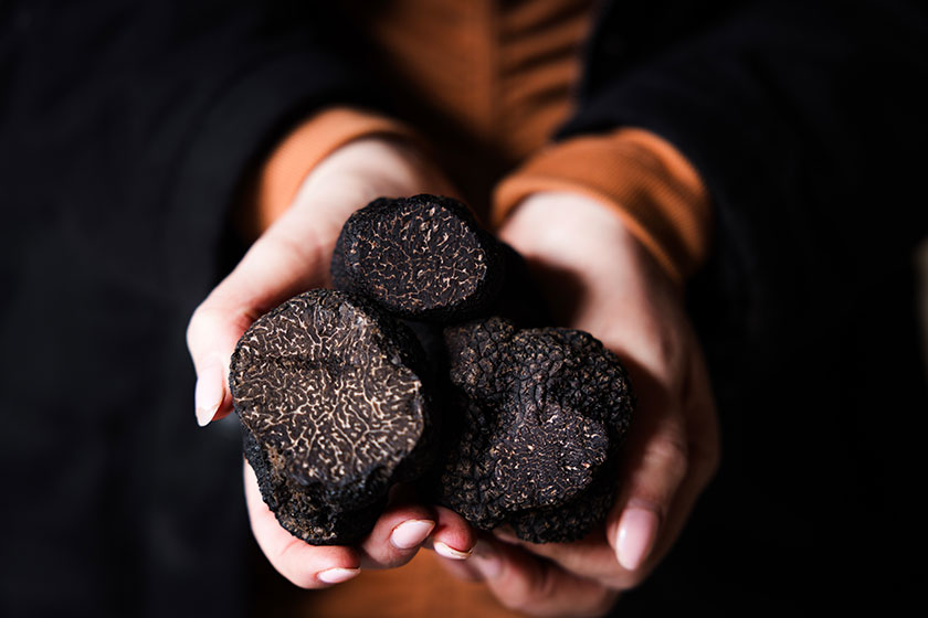 Where to get your truffle fix in Canberra this winter | HerCanberra
